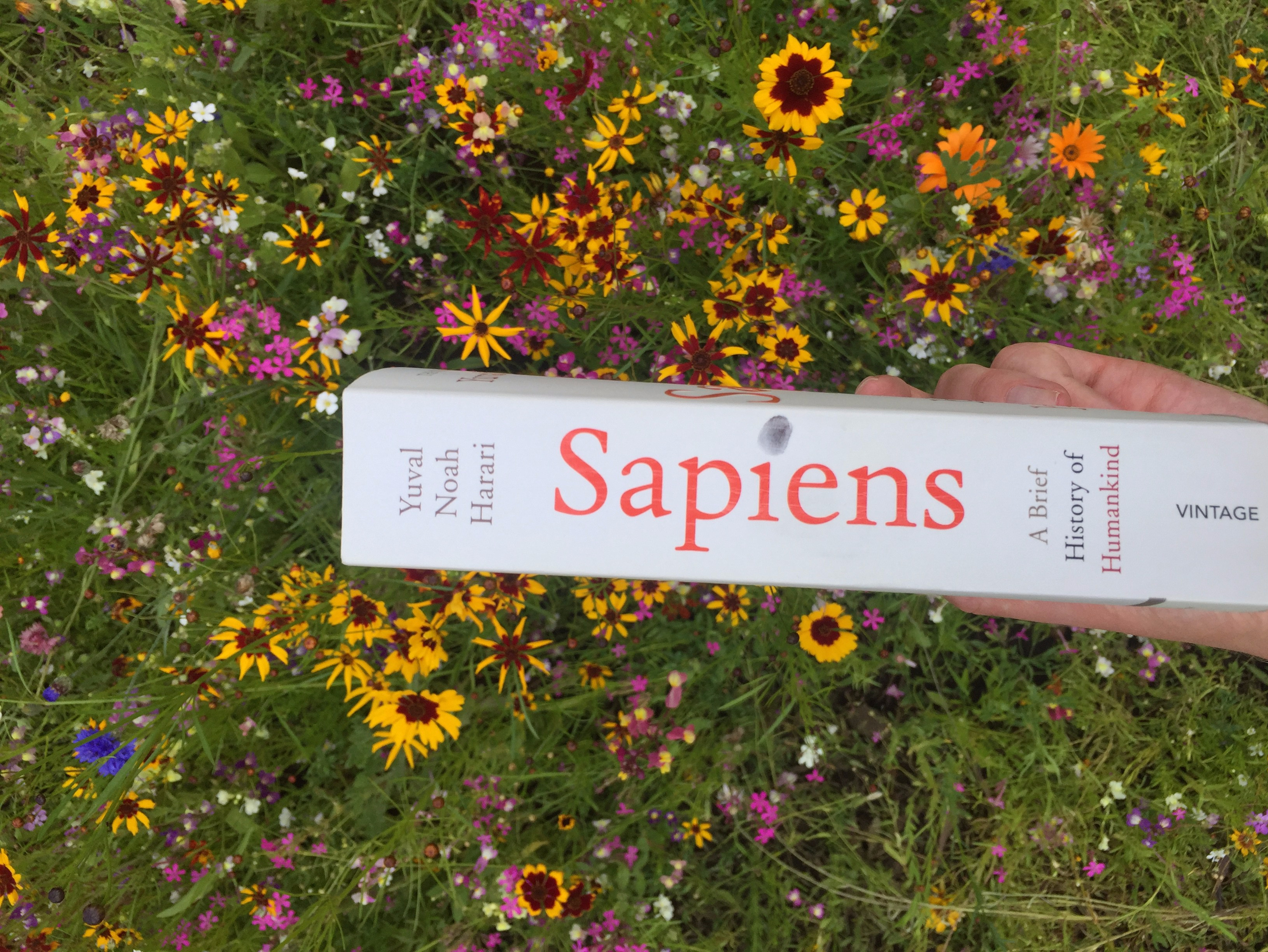 Yuval Noah Harari’s “Sapiens” – Book Review – litcritpop