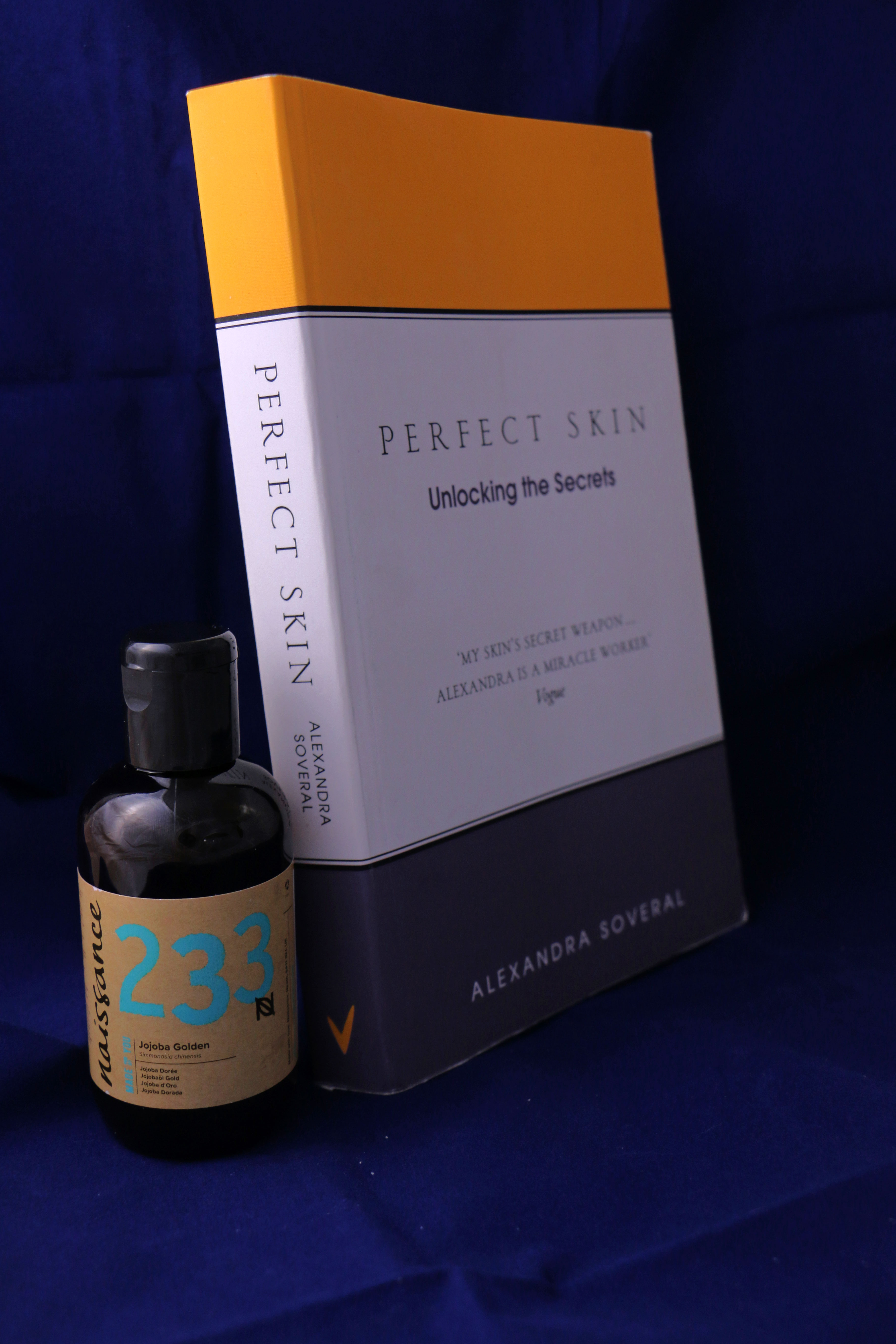 Perfect Skin by Alexandra Soveral – litcritpop
