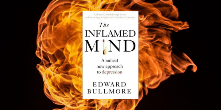 Edward Bullmore’s “The Inflamed Mind” – book review – litcritpop